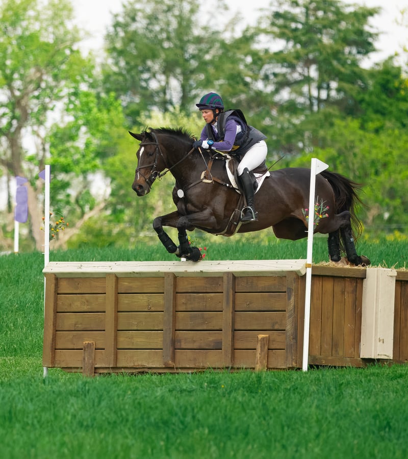 Antech — Equine Diagnostics