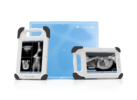 Antech — Equine Diagnostics