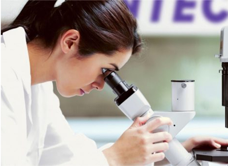 Antech — Equine Diagnostics