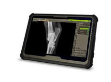 Antech — Equine Diagnostics